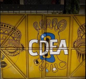 CDEA Strategic Plan 2015-2021 – CDEA